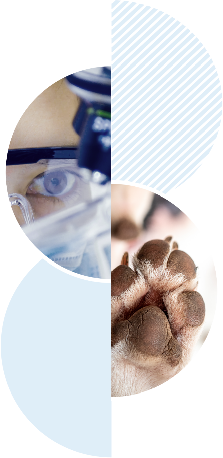 Our Company - QBiotics